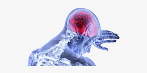 INTERSTROKE - Research Studies - PHRI - Population Health Research ...