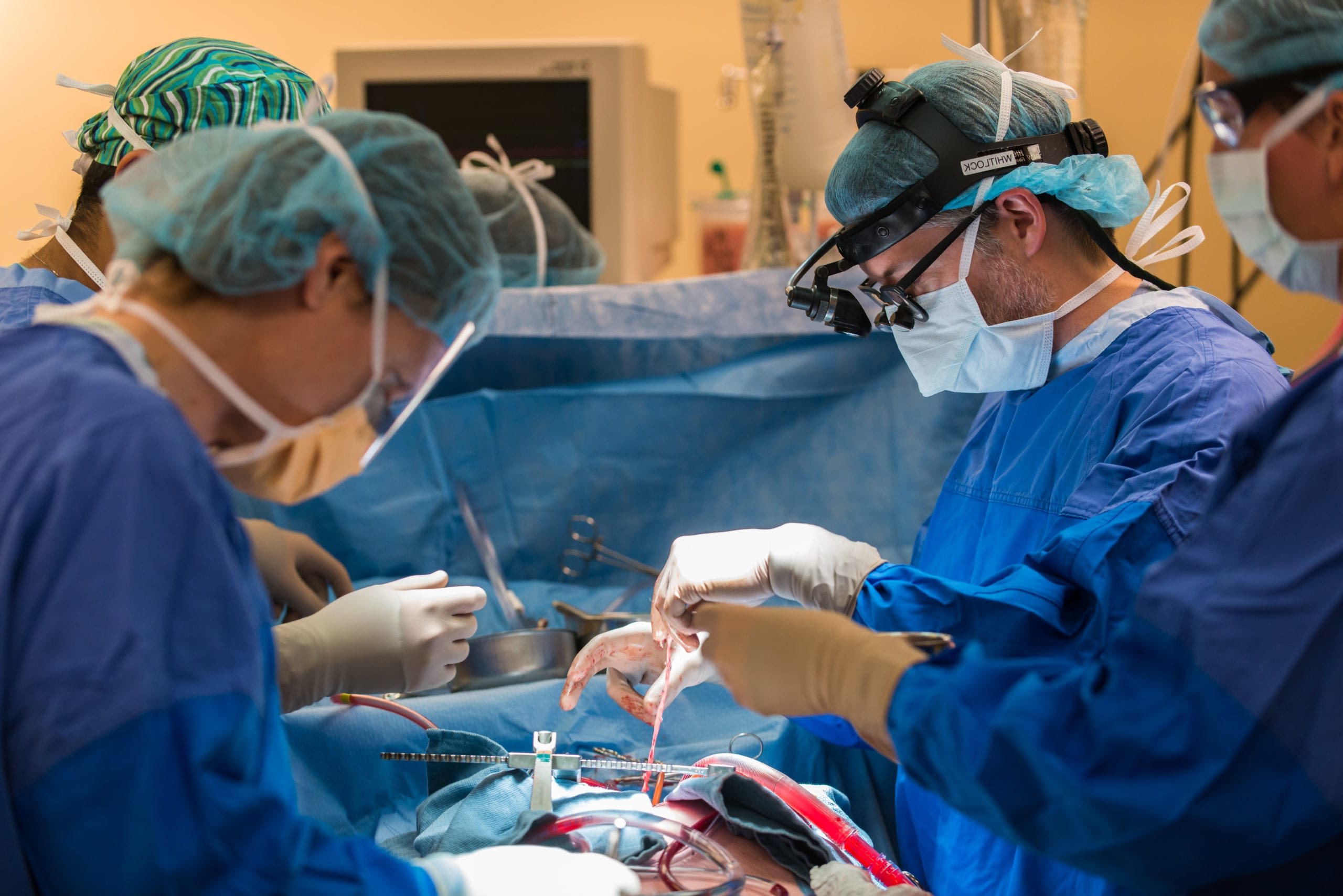 Inaugural Canada Research Chair in Cardiovascular Surgery | News | PHRI