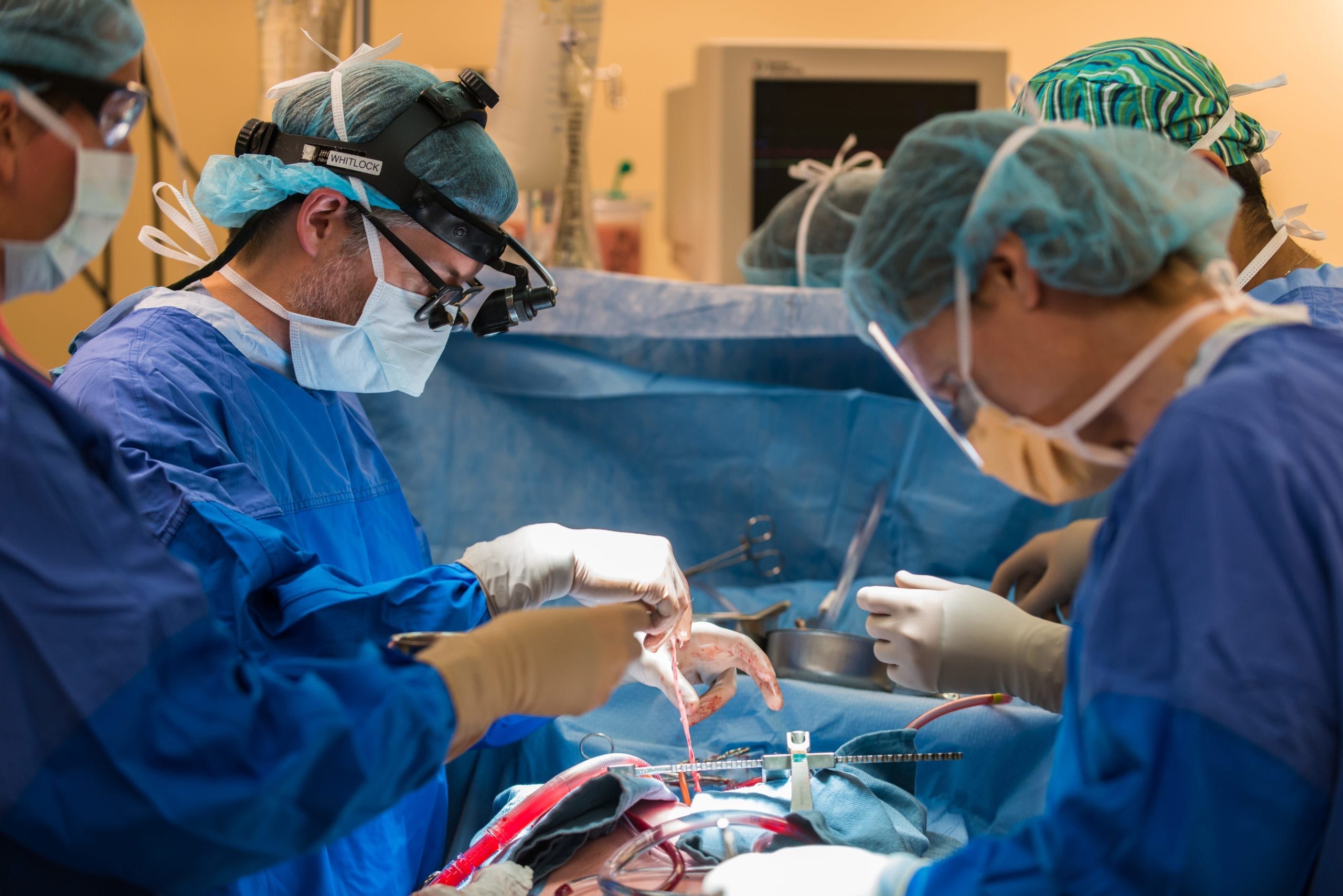 Top cardio advances of 2021 include LAAOS III - News - PHRI