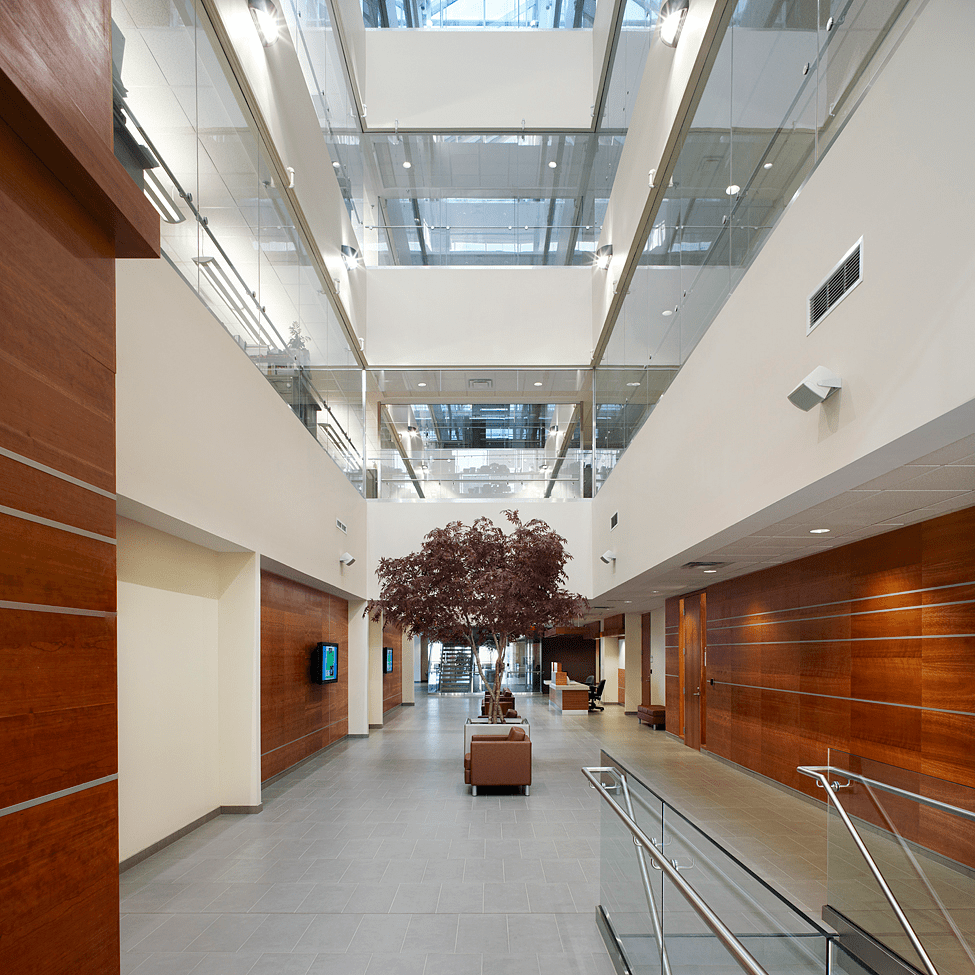 Junior Research Coordinator - PHRI