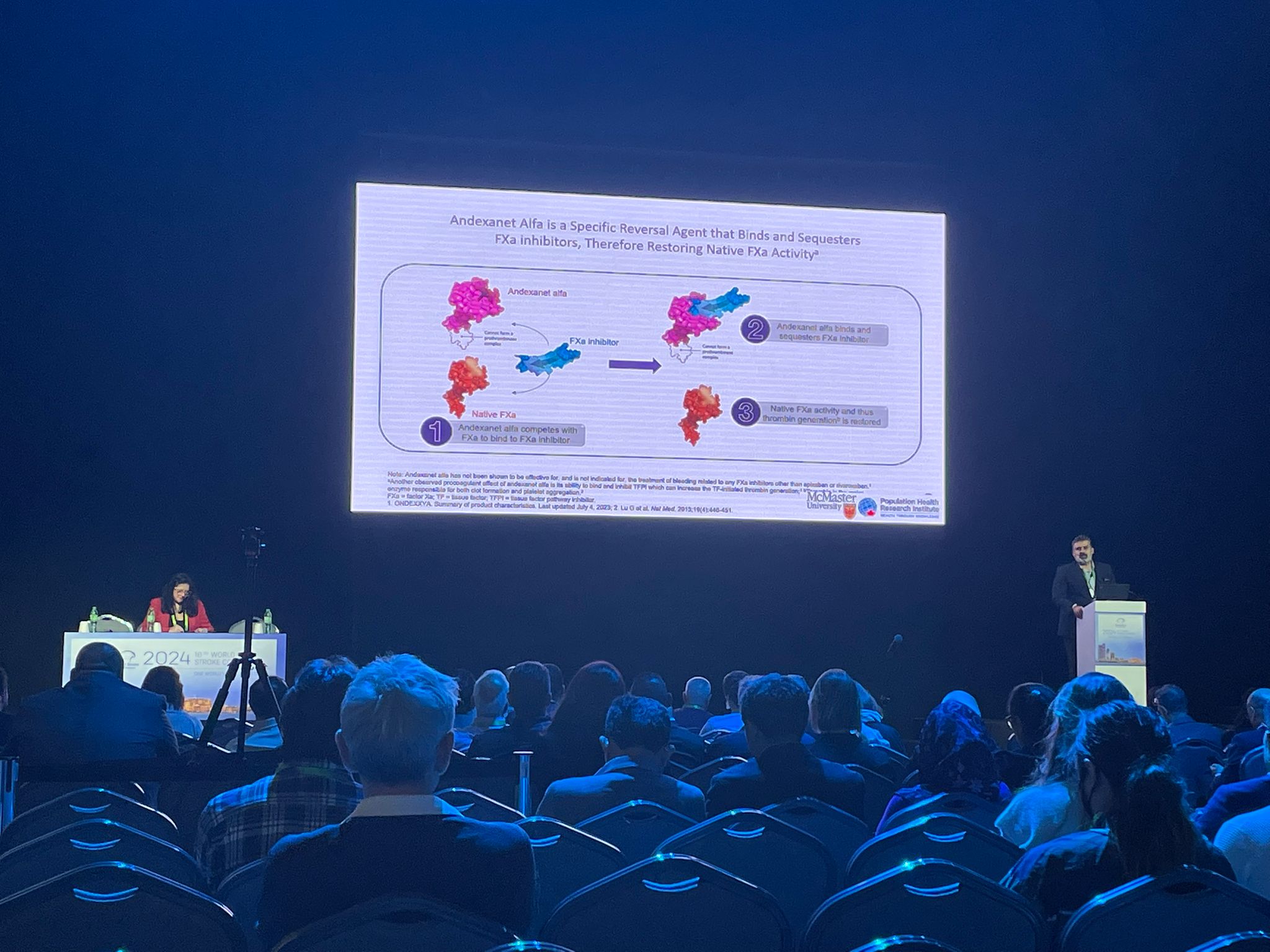 PHRI Stroke Research at WSC 2024 - News - PHRI